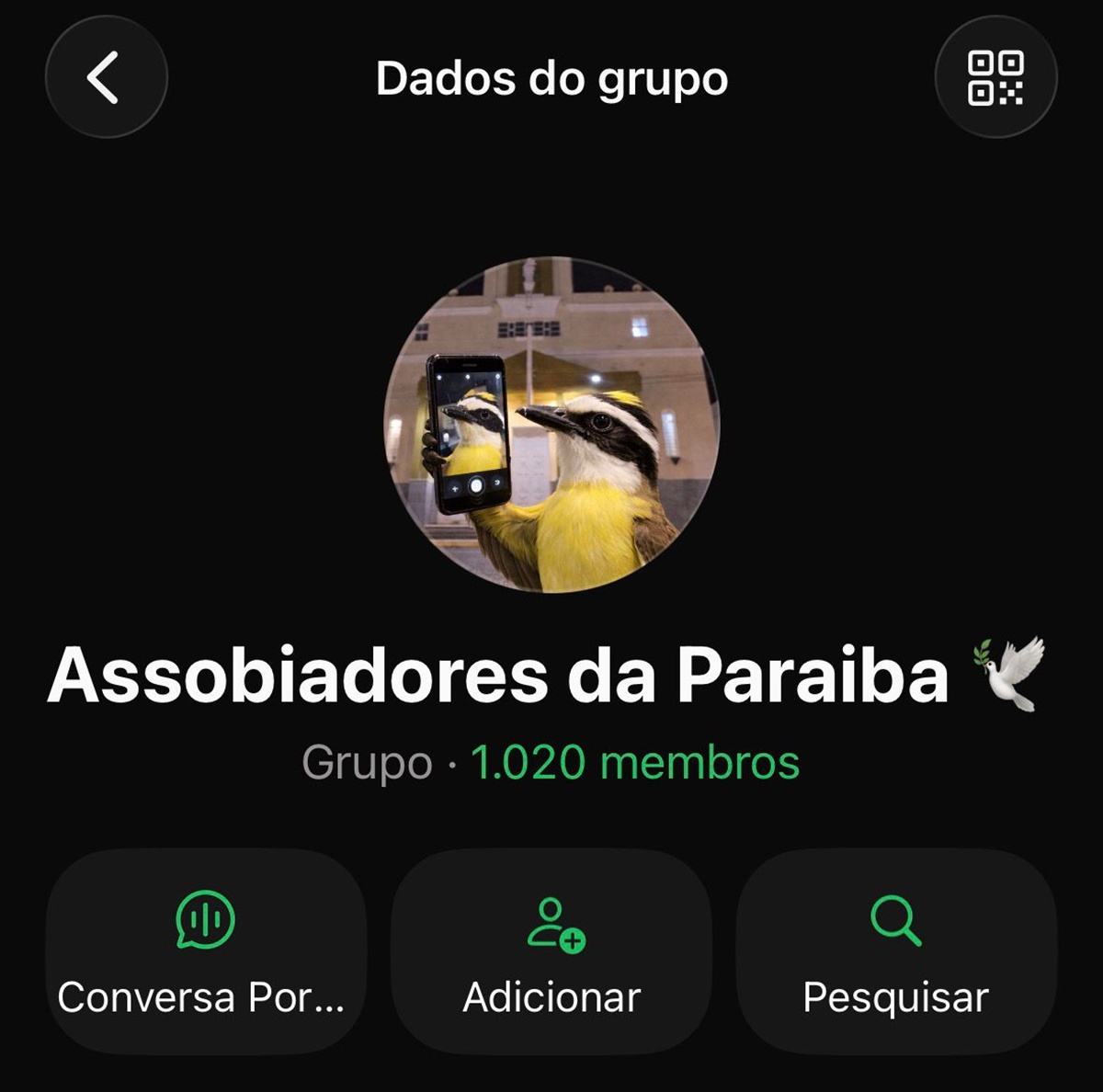 Grupo de assobio no WhatsApp viraliza; criador na PB explica ideia ...