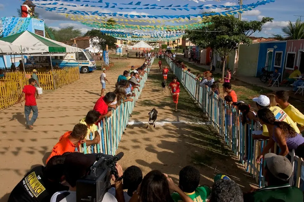 Festa do Bode Rei 2026: evento começa nesta quinta em Cabaceiras; veja ...