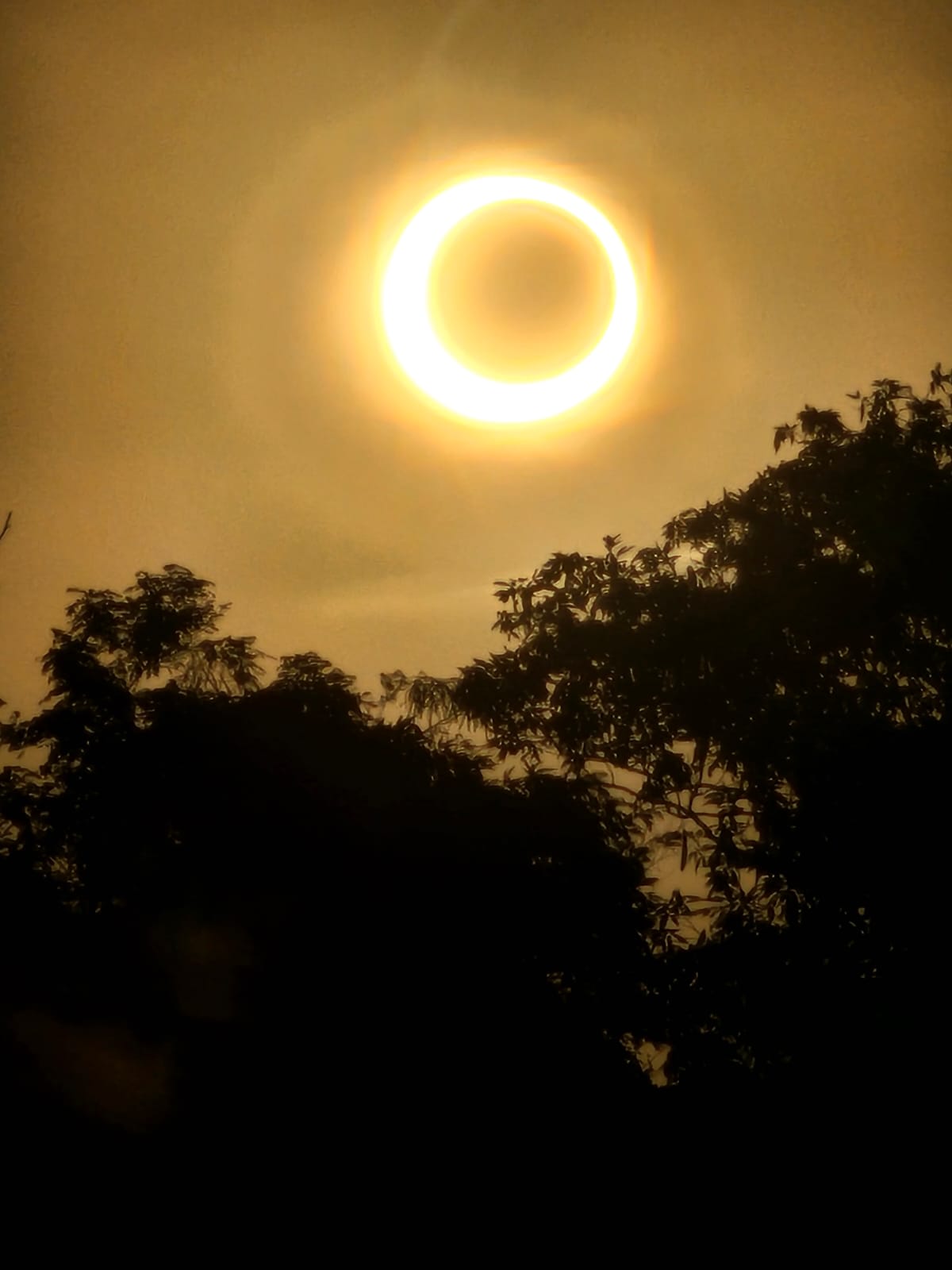 Eclipse anular solar: saiba como identificar danos na visão após a ...
